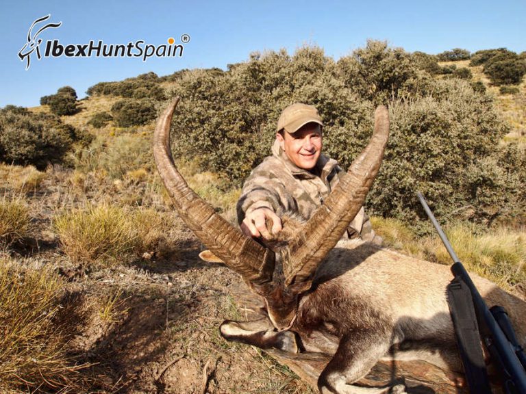 Southeastern Ibex hunting in Spain