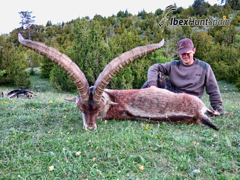 beceite-ibex-11-15 | Ibex Hunt Spain