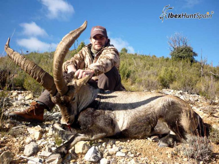 beceite-ibex-11 | Ibex Hunt Spain