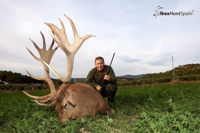 european-red-deer-18 | Ibex Hunt Spain