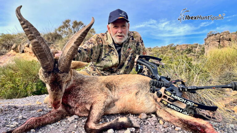 Bow Hunting – Ronda and Southeastern Ibex Hunts | Ibex Hunt Spain